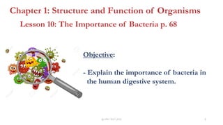 Gr.6 - Science - Ch1 L10 - The Importance of Bacteria.pdf