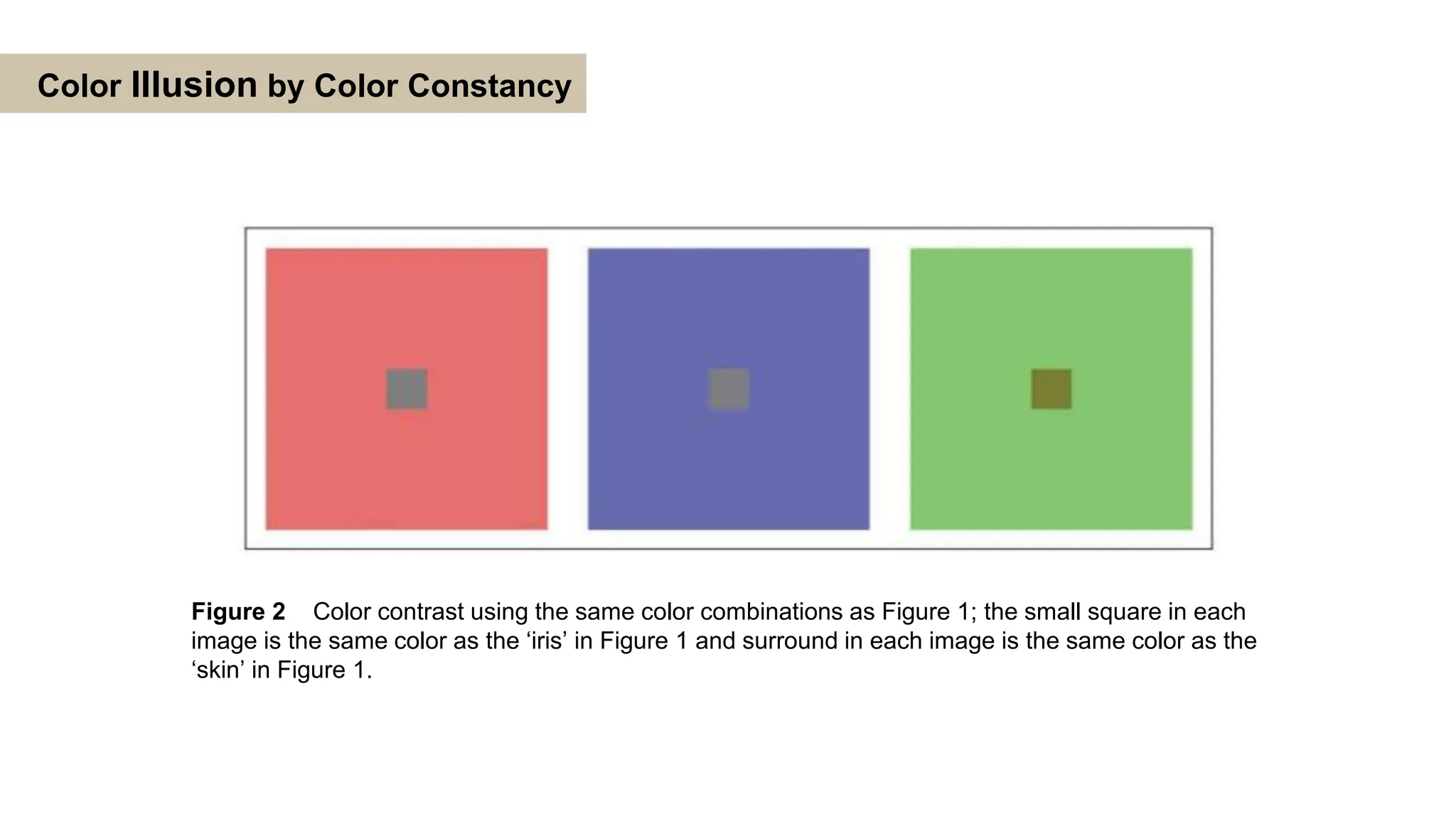GR. 3_ Color Illusion Presentation for Architectural Interior Subject.pptx