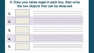 Science Process Skills Grade 3 - You and the Natural World | PPTX