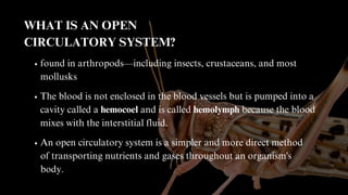 Circulatory System in Plants and Animals.pdf