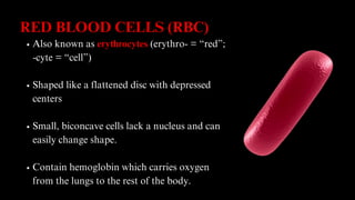 Circulatory System in Plants and Animals.pdf