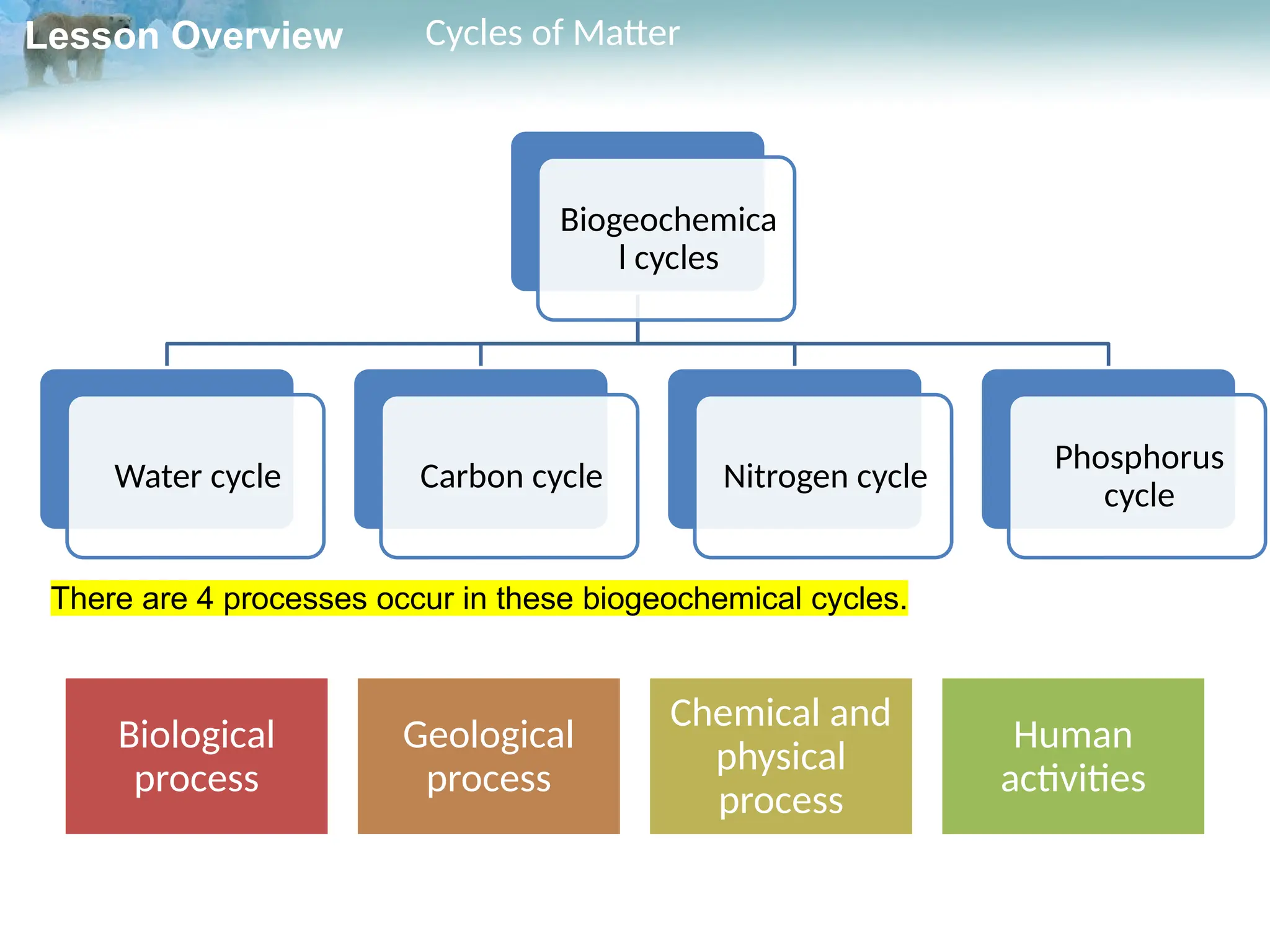 Gr.10 Biology L.4.3 ppt Cycles Of Matter Biology Book | PPTX