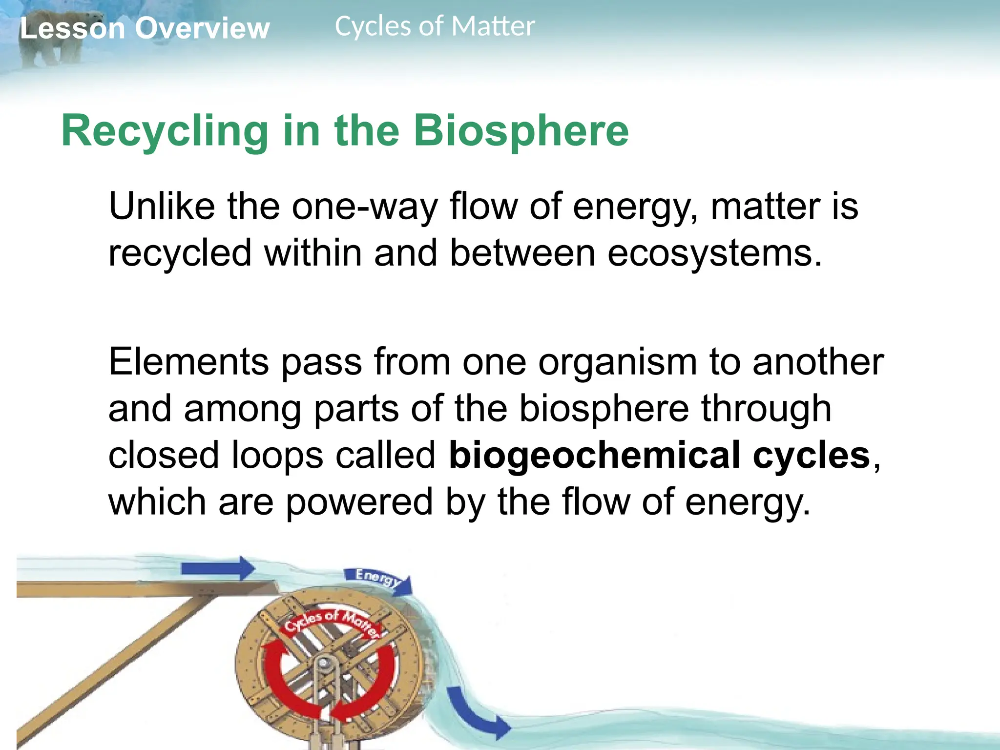 Gr.10 Biology L.4.3 ppt Cycles Of Matter Biology Book | PPTX