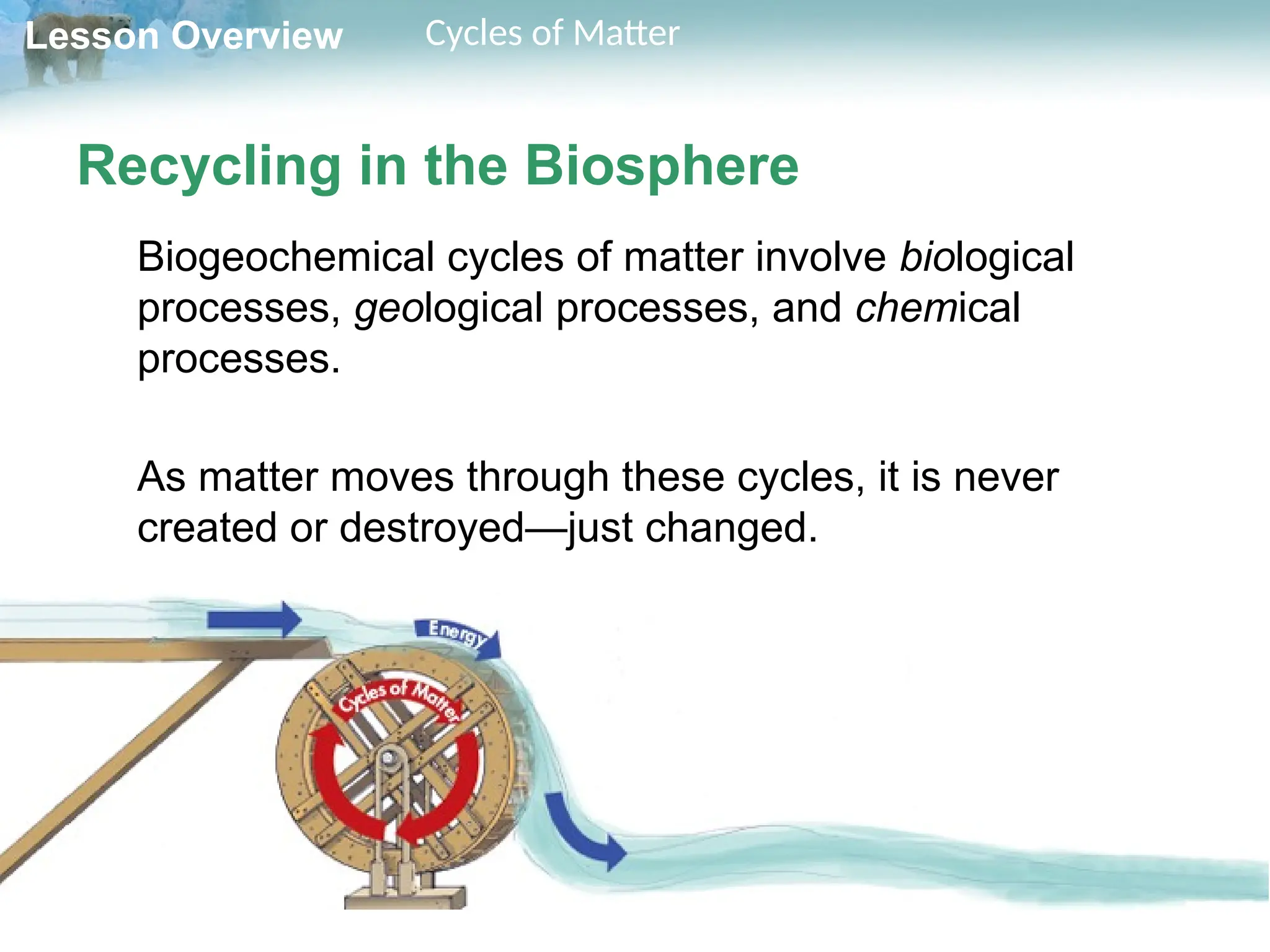Gr.10 Biology L.4.3 ppt Cycles Of Matter Biology Book | PPTX