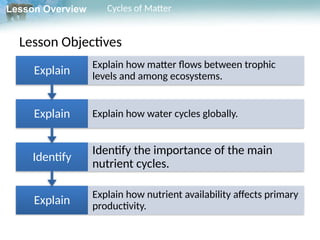 Gr.10 Biology L.4.3 ppt Cycles Of Matter Biology Book | PPTX