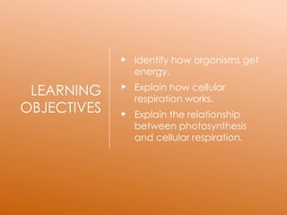 Gr.9 Biology L.10.1. Cellular respiration Overview | PPTX