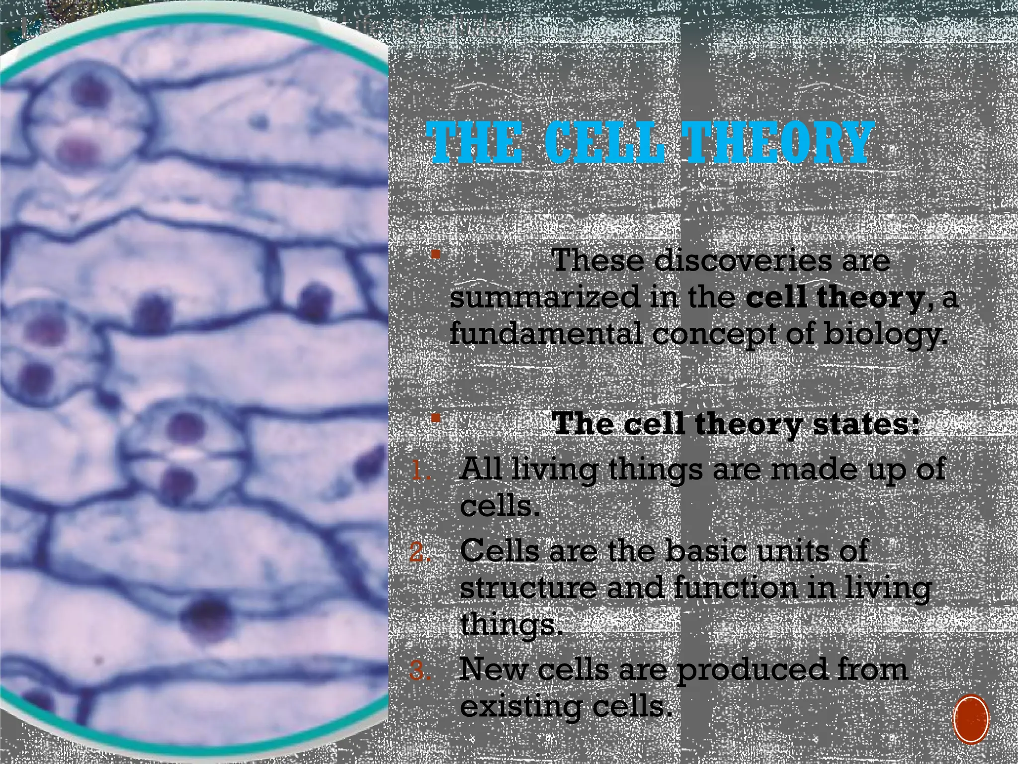 Gr.9 Biology L.8.1.Life is Cellular power point | PPTX