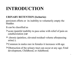 Comprehensive Approach to Acute Urinary Retention: Causes, Anatomy, and ...