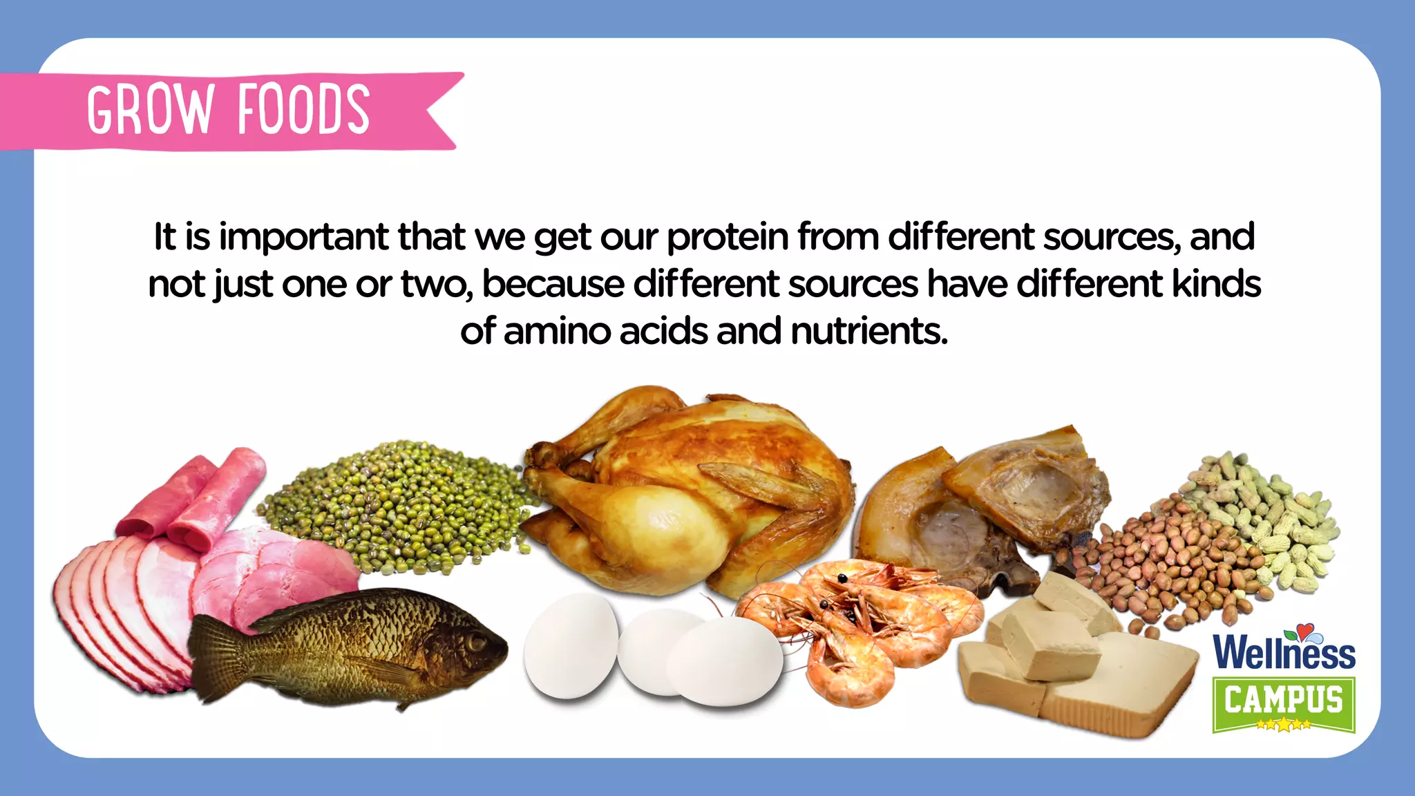Grade 8 Module 3 Grow Foods | PDF