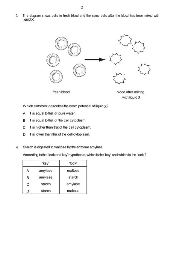 Gr10 bio rev p1 copy | PDF