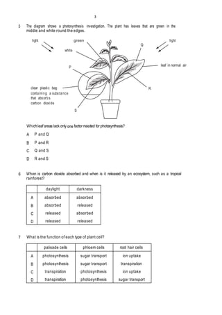 Gr10 bio rev p1 copy | DOCX