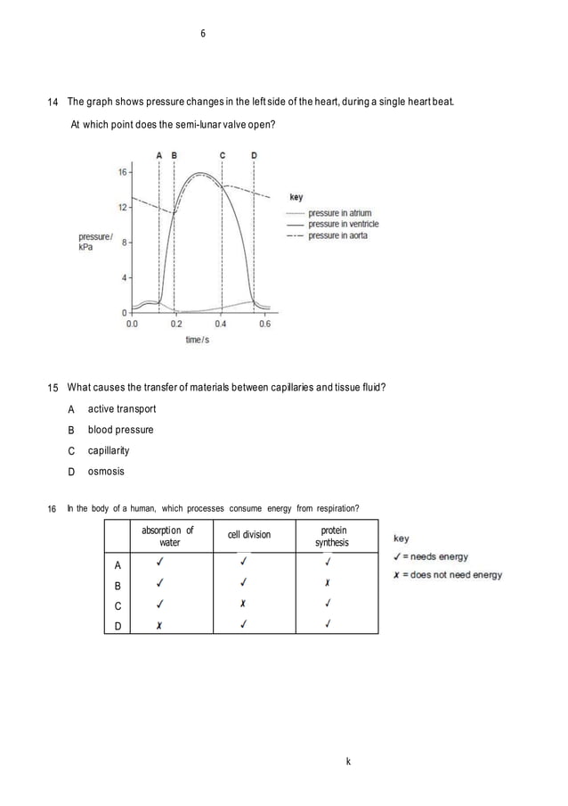 Gr10 bio rev p1 copy | DOCX