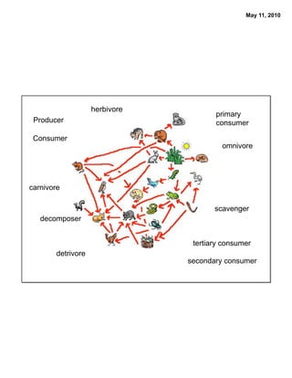 Gr10 eco may6, 7,10, 11 food chains and food webs | PDF