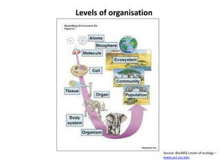 Gr 10 life sciences environment | PPTX