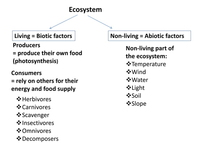 Gr 10 life sciences environment | PPTX | Geography | Science
