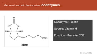 Coenzyme (Intro) | PPTX