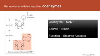 Coenzyme (Intro) | PPTX