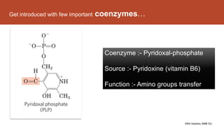 Coenzyme (Intro) | PPTX