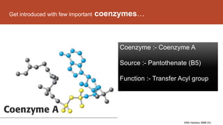 Coenzyme (Intro) | PPTX