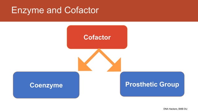 Coenzyme (Intro) | PPTX