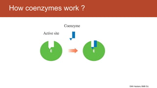 Coenzyme (Intro) | PPTX