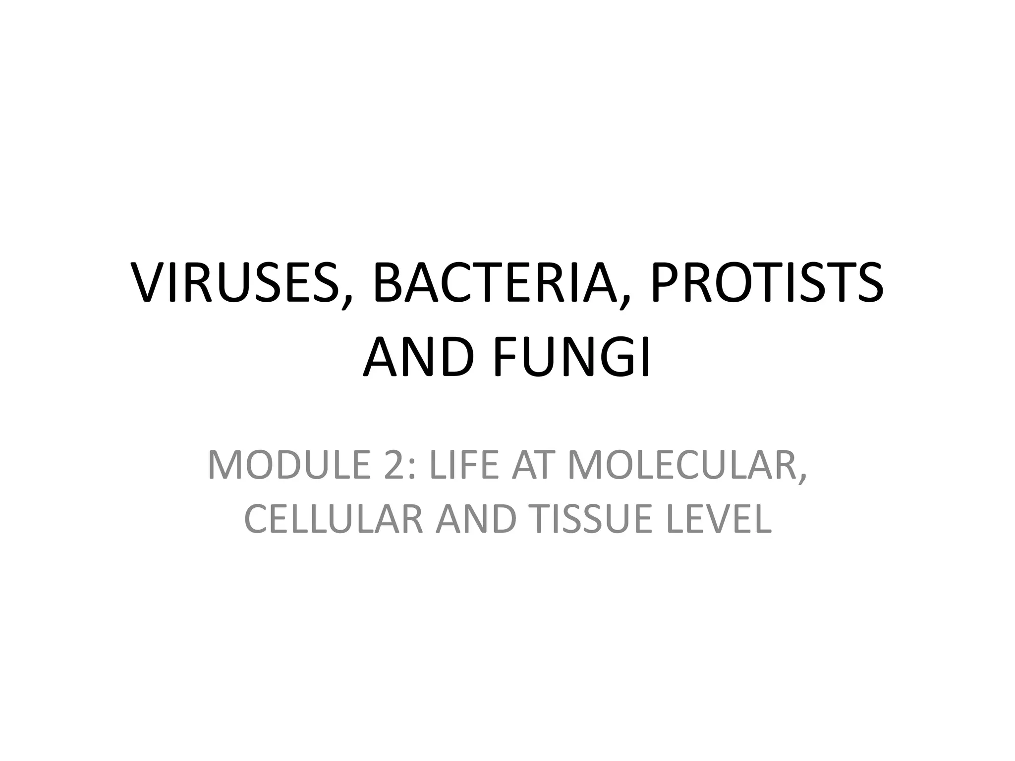 Gr 11 virusses,_bacteria,_protists_and_fungi_eng_only[1] | PPT