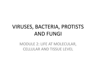 Gr 11 virusses,_bacteria,_protists_and_fungi_eng_only[1] | PPT