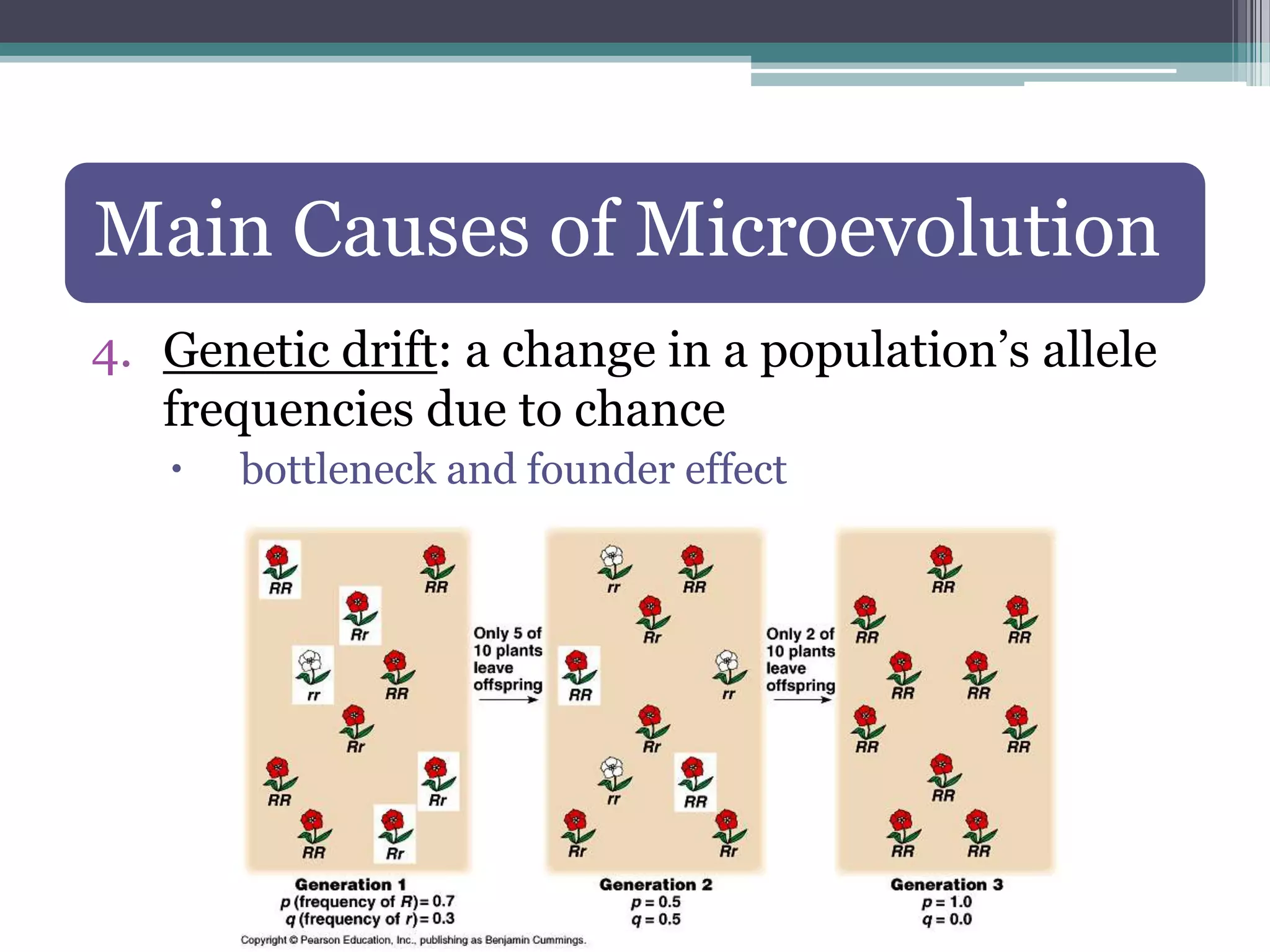 Evolutionary Biology.ppt