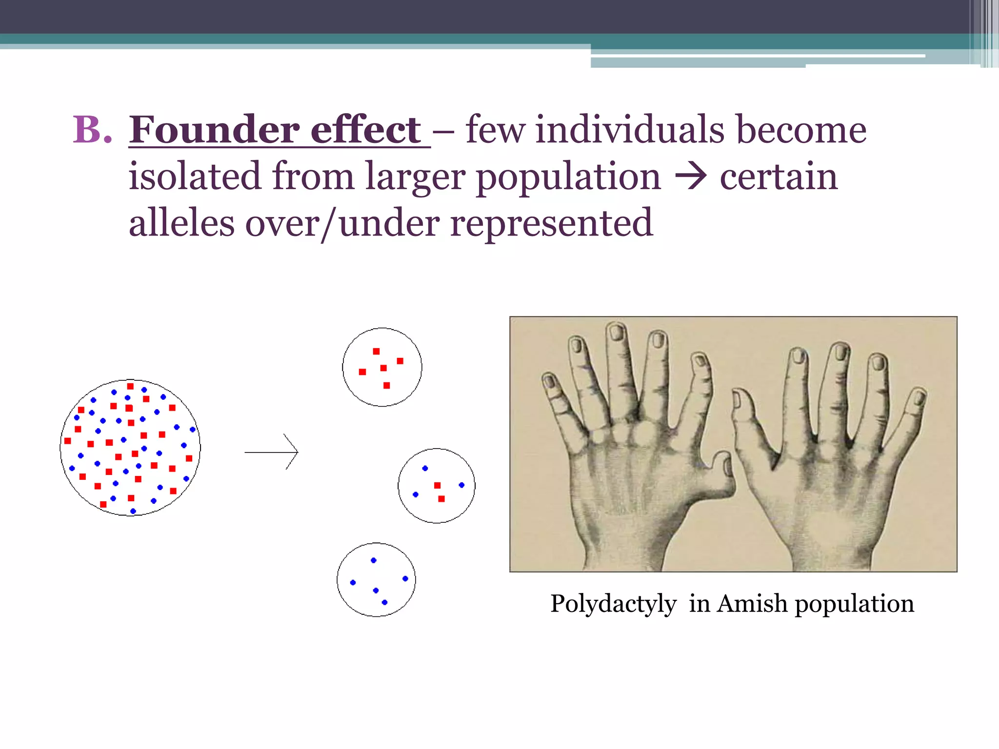 Evolutionary Biology.ppt