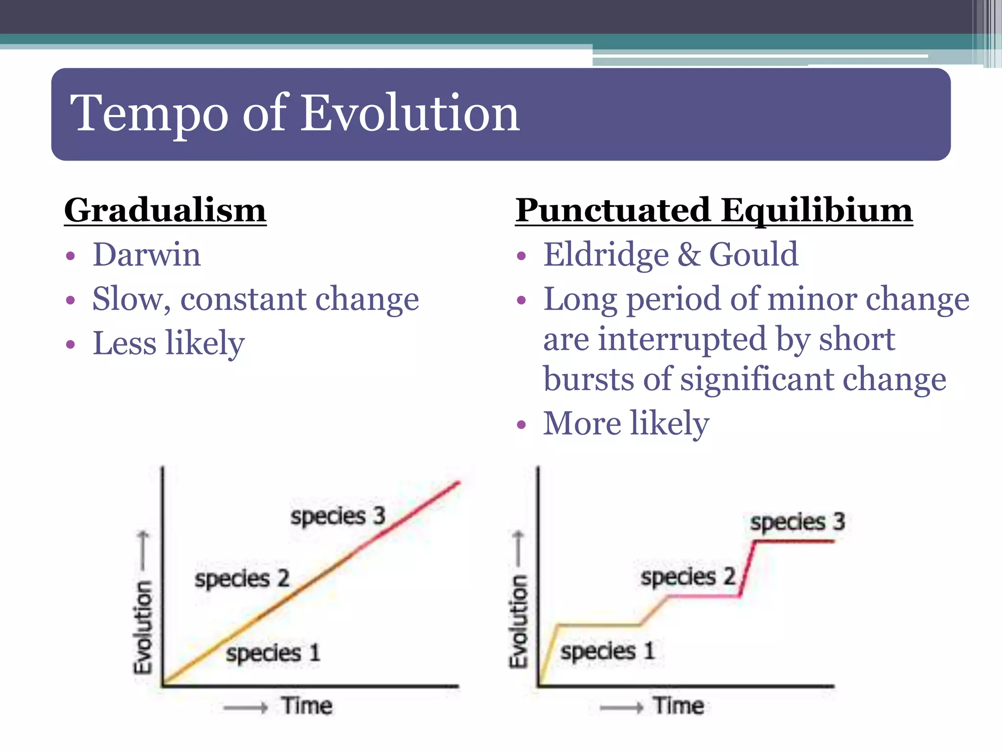 Evolutionary Biology.ppt