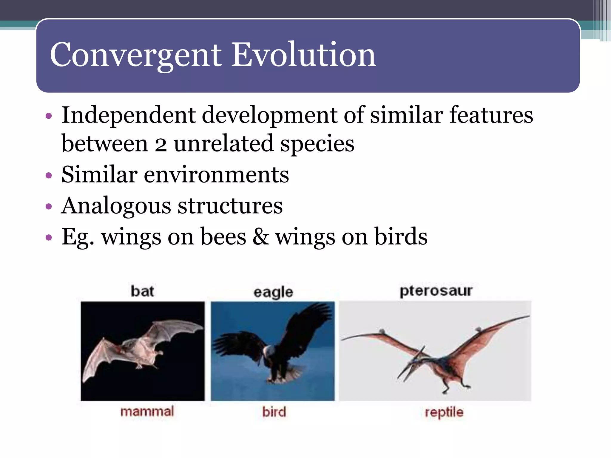 Evolutionary Biology.ppt