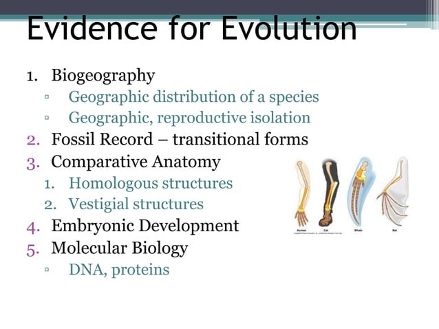Evolutionary Biology.ppt | Genetics | Science