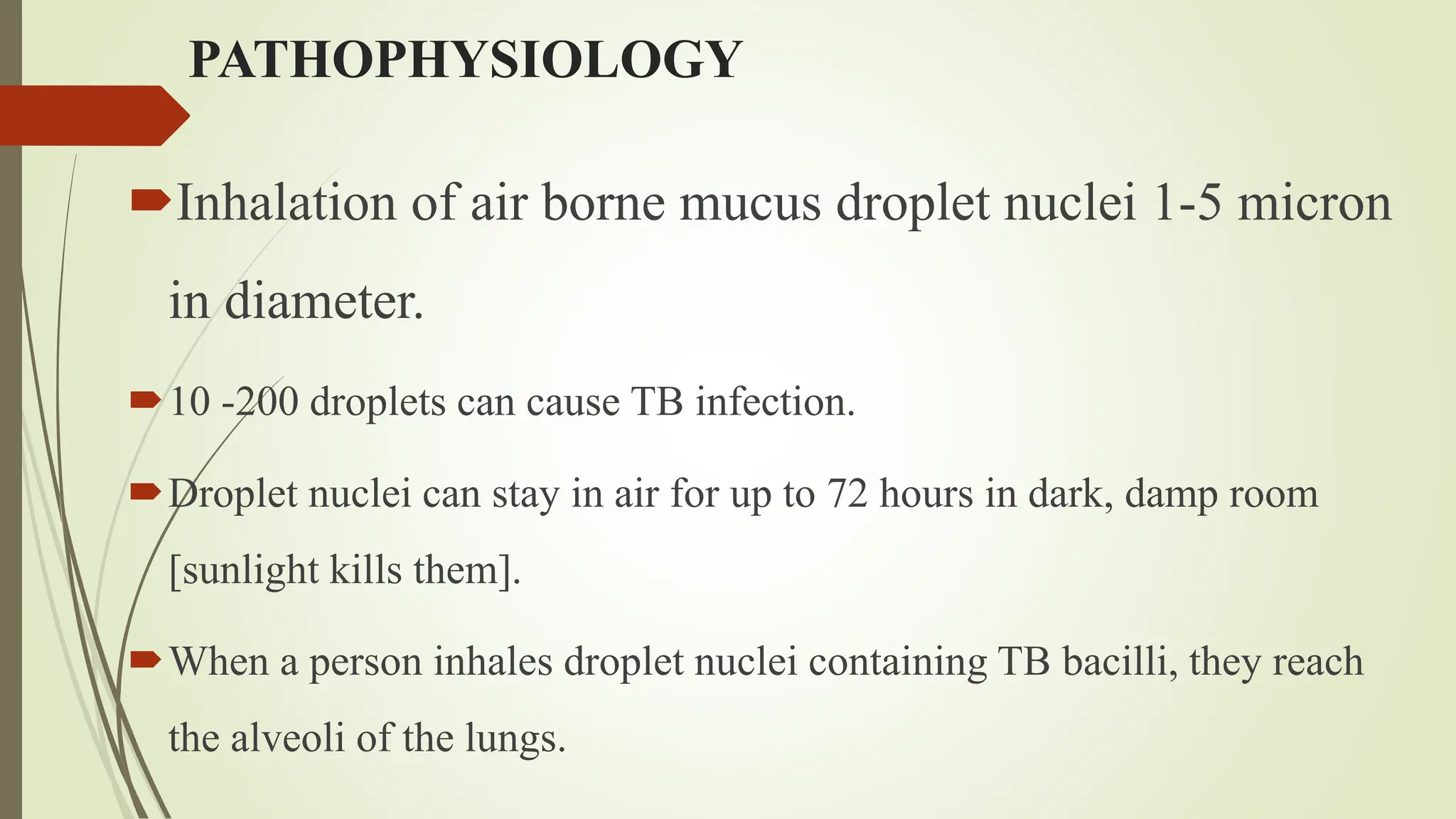 GR 12 tuberculosis in pediatrics.pptx222 | PPTX