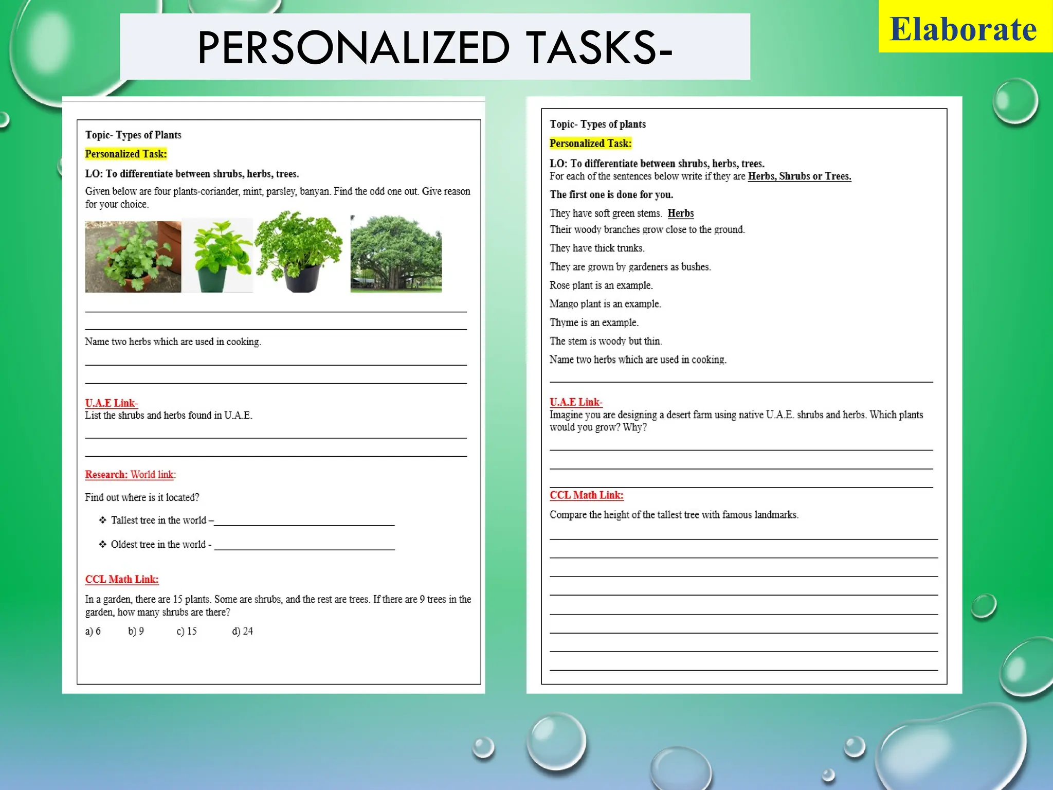 Gr2-Types of Plants PPT and their classification | PPT