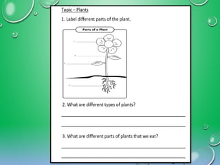 Gr2-Types of Plants PPT and their classification | PPT