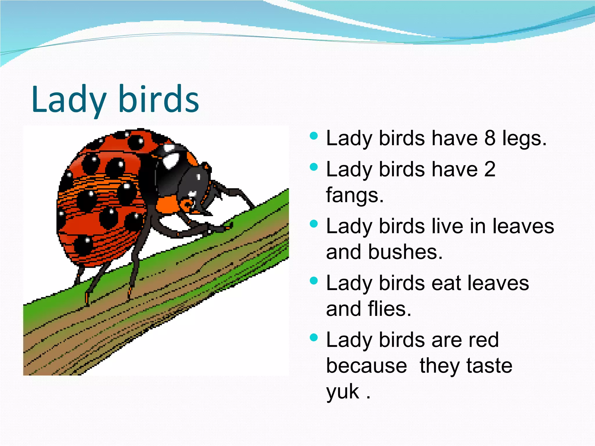 Gr2 Mini Beasts | PPT