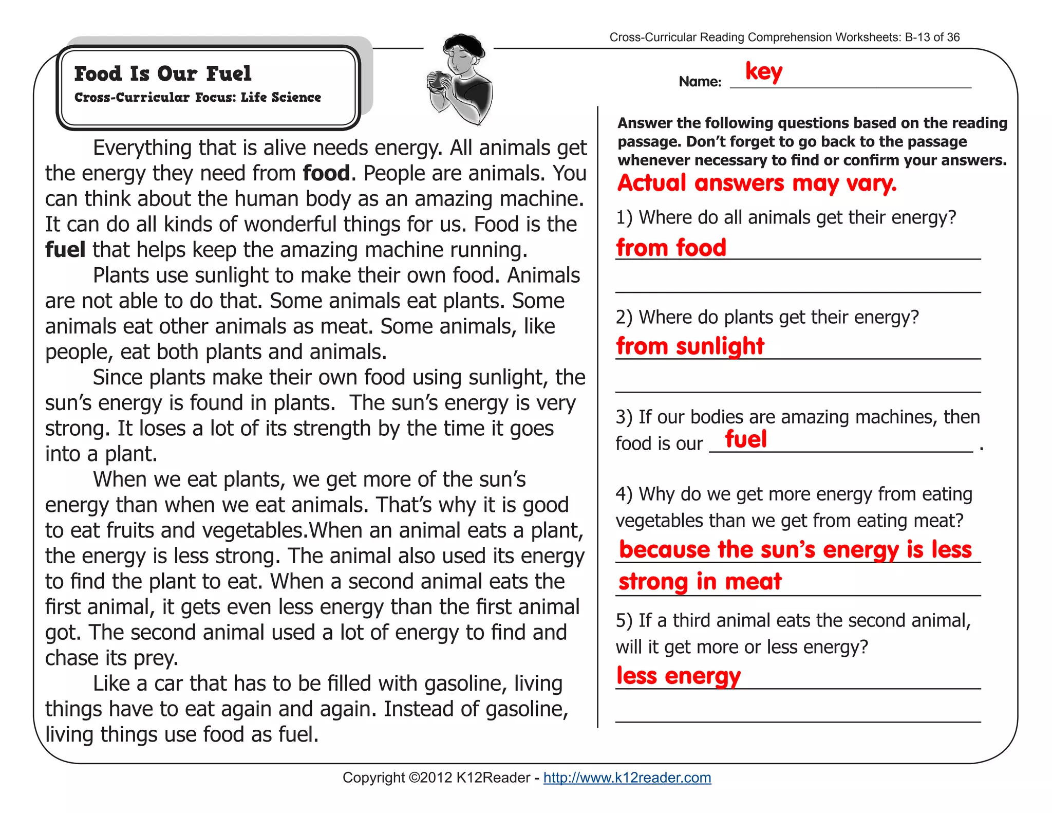 Gr2 wk13 food_is_our_fuel | PPT