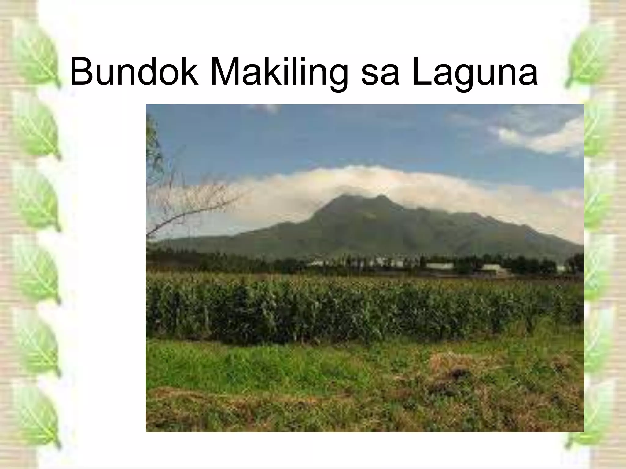 Gr 4 - Mga Anyong Lupa | PPTX