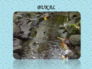 Gr 4 Anyongtubig | PPTX