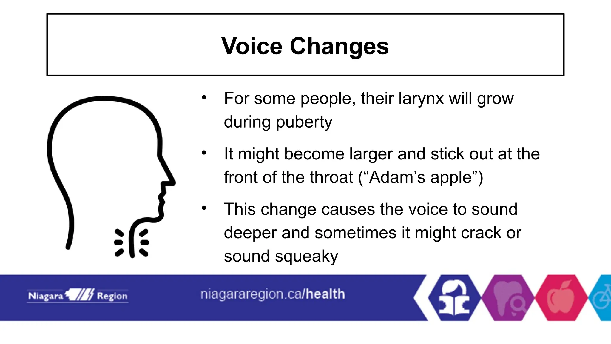 Presentation on Puberty, The meaning, The effects etc | PPTX