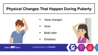 Presentation on Puberty, The meaning, The effects etc | PPTX