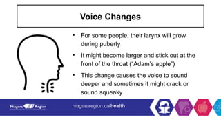 Presentation on Puberty, The meaning, The effects etc | PPTX