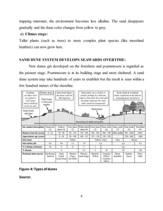 SUCCESSION_IN_SAND_DUNE-_MONALISA-_FINAL_ONE.docx