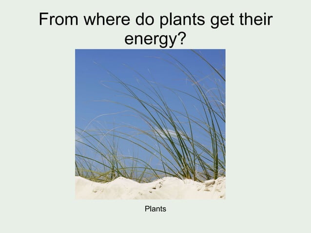 Gr5 2 sw_forms_of_energy | PPT