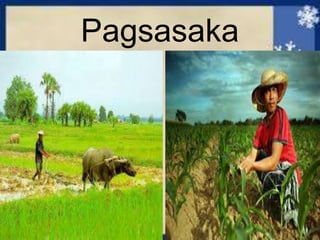 Gr 5 hanap buhay ng mga sinaunang pilipino | PPTX