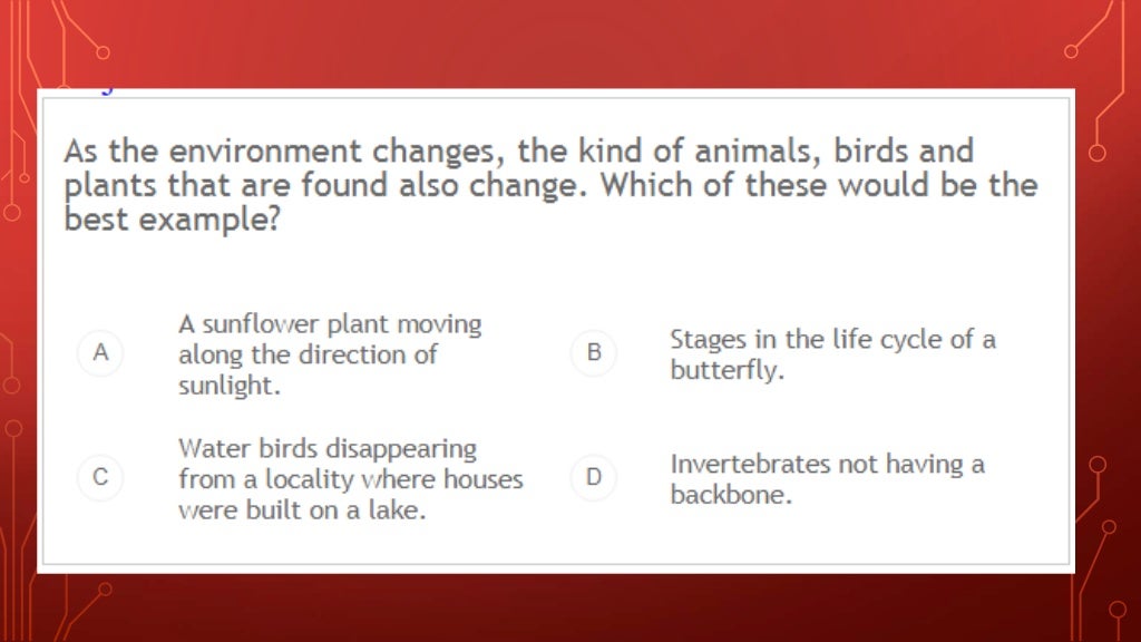 Asset Practise Questions For Grade 6 asset-practise-questions-for-grade-6