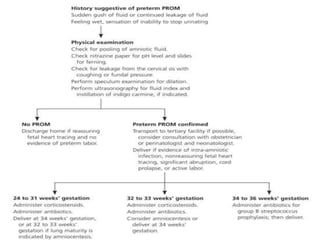 GR 7 PROM in pediatric.pptx2222222222222 | PPT