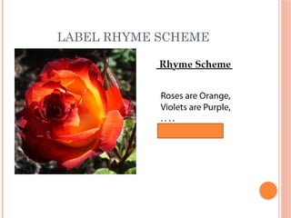 GR7_Rhythm-meter-PPT.powerpoint presentation | PPTX