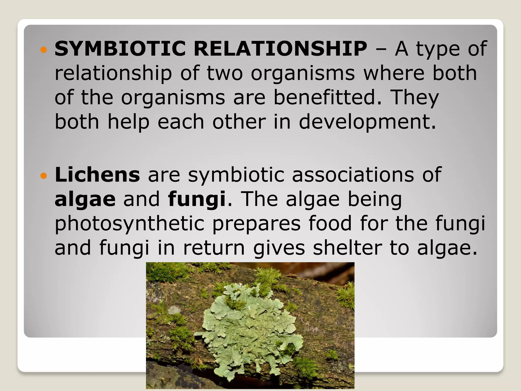 Nutrition in Plants Class 7 Chapter 1 | PDF