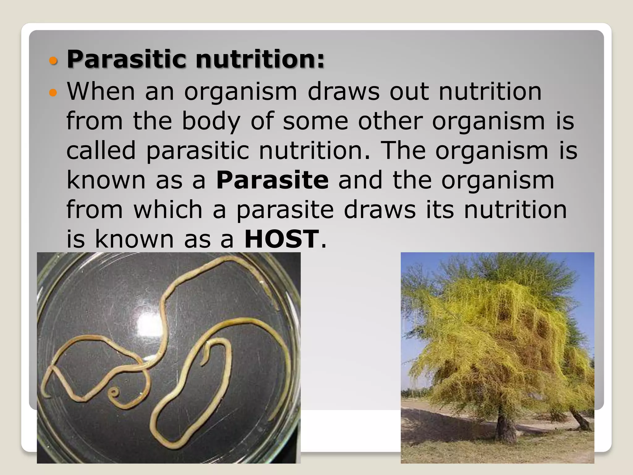 Nutrition in Plants Class 7 Chapter 1 | PDF